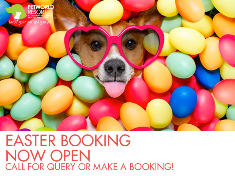 Easter booking now open @2019 – Petworld Resort