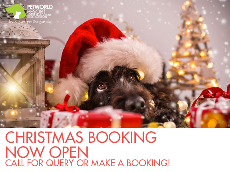 Christmas booking now open @2018 – Petworld Resort